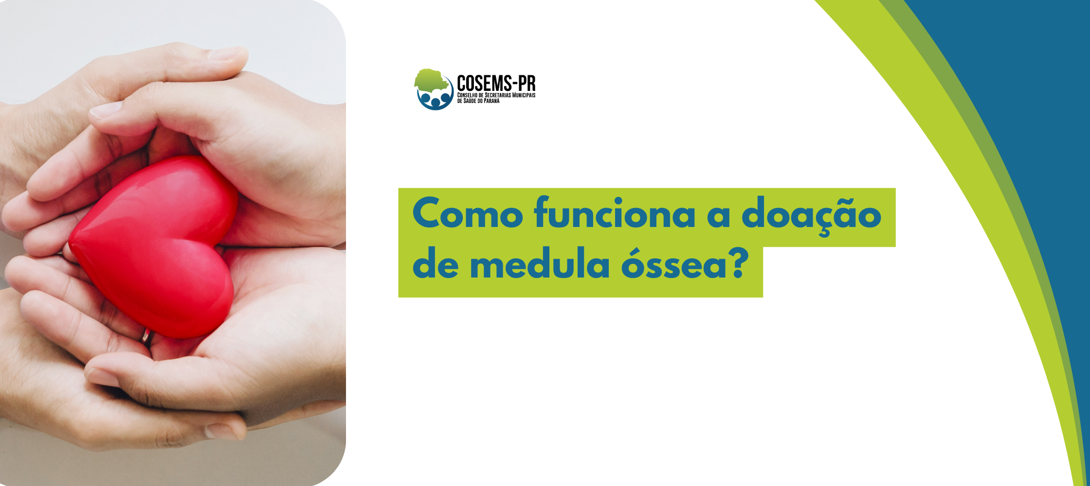 Transplante de Medula Óssea: como ser um doador?